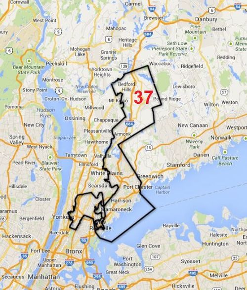 Shelley Mayer - Ballotpedia