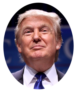 History of Donald Trump's political donations, 1989-2015 - Ballotpedia