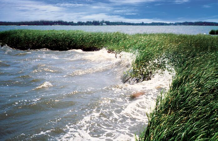 Environmental policy in the United States - Ballotpedia