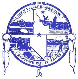 Shoshone-Paiute of the Duck Valley Indian Reservation - Ballotpedia