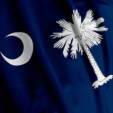 2025 South Carolina legislative session - Ballotpedia