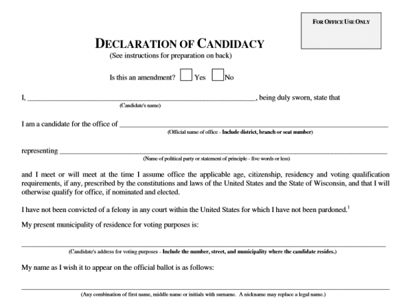 Ballot access requirements for political candidates in Wisconsin ...
