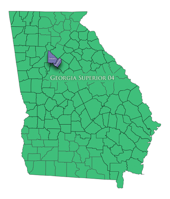 4th Superior Court District of Georgia - Ballotpedia