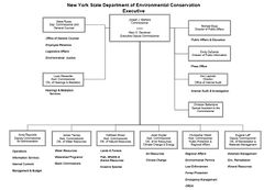 Category:State executive organizational chart, New York - Ballotpedia