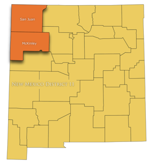 New Mexico Eleventh Judicial District Court - Ballotpedia
