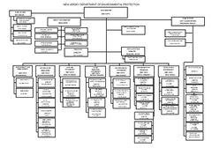 Category:State executive organizational chart, New Jersey - Ballotpedia