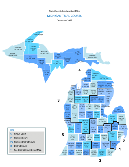 Michigan Circuit Court - Ballotpedia