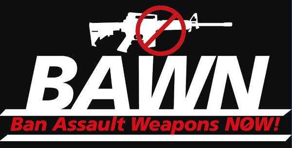 Florida Ban on Semiautomatic Rifles and Shotguns Initiative (2022 ...